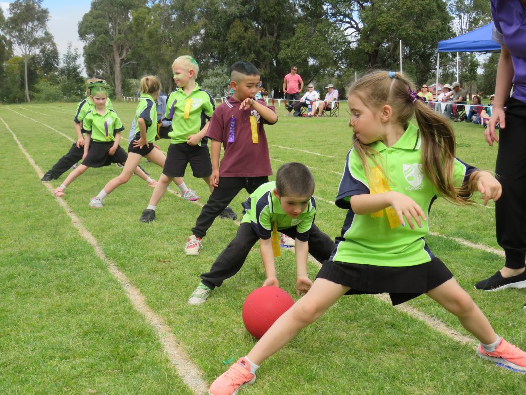 Sports Carnivals - Walliston Primary School